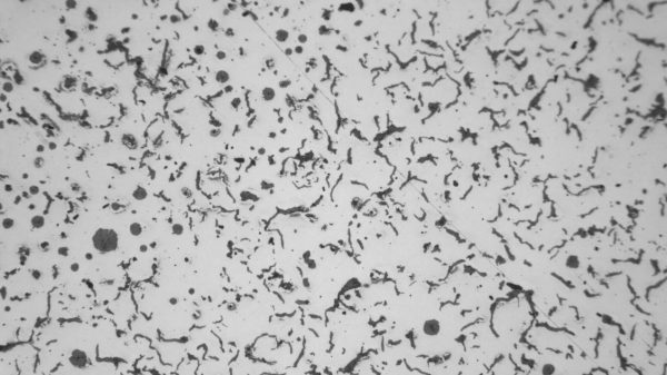 Microstructures | Fusium